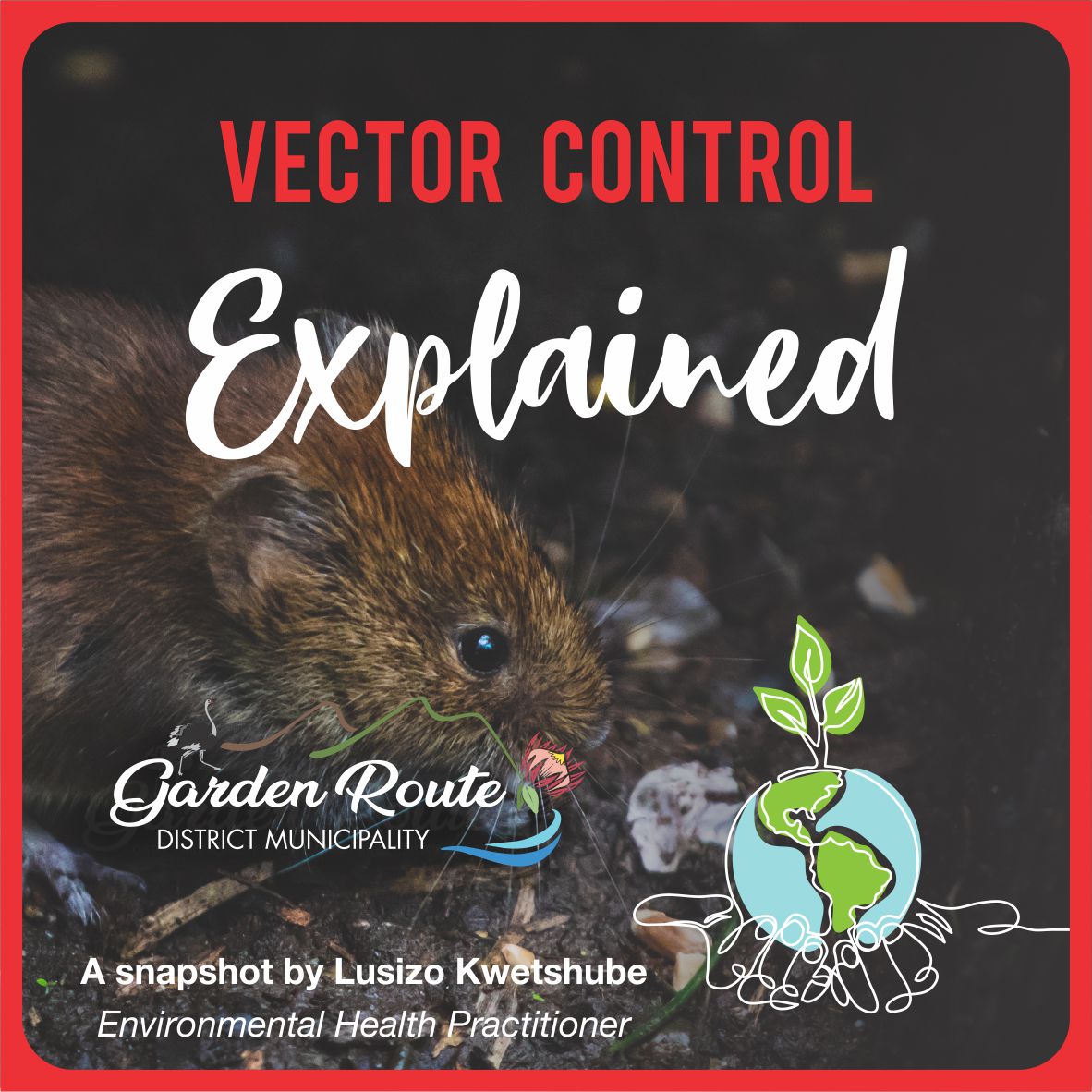 A snapshot of Vector Control – a function of Environmental Health ...