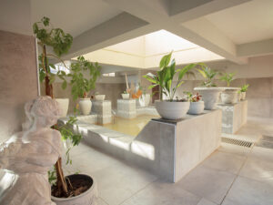 4 November 2022 Media Release: Calitzdorp Natural Hot Springs Resort ...
