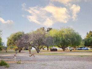 Calitzdorp Hot Springs – Garden Route District Municipality