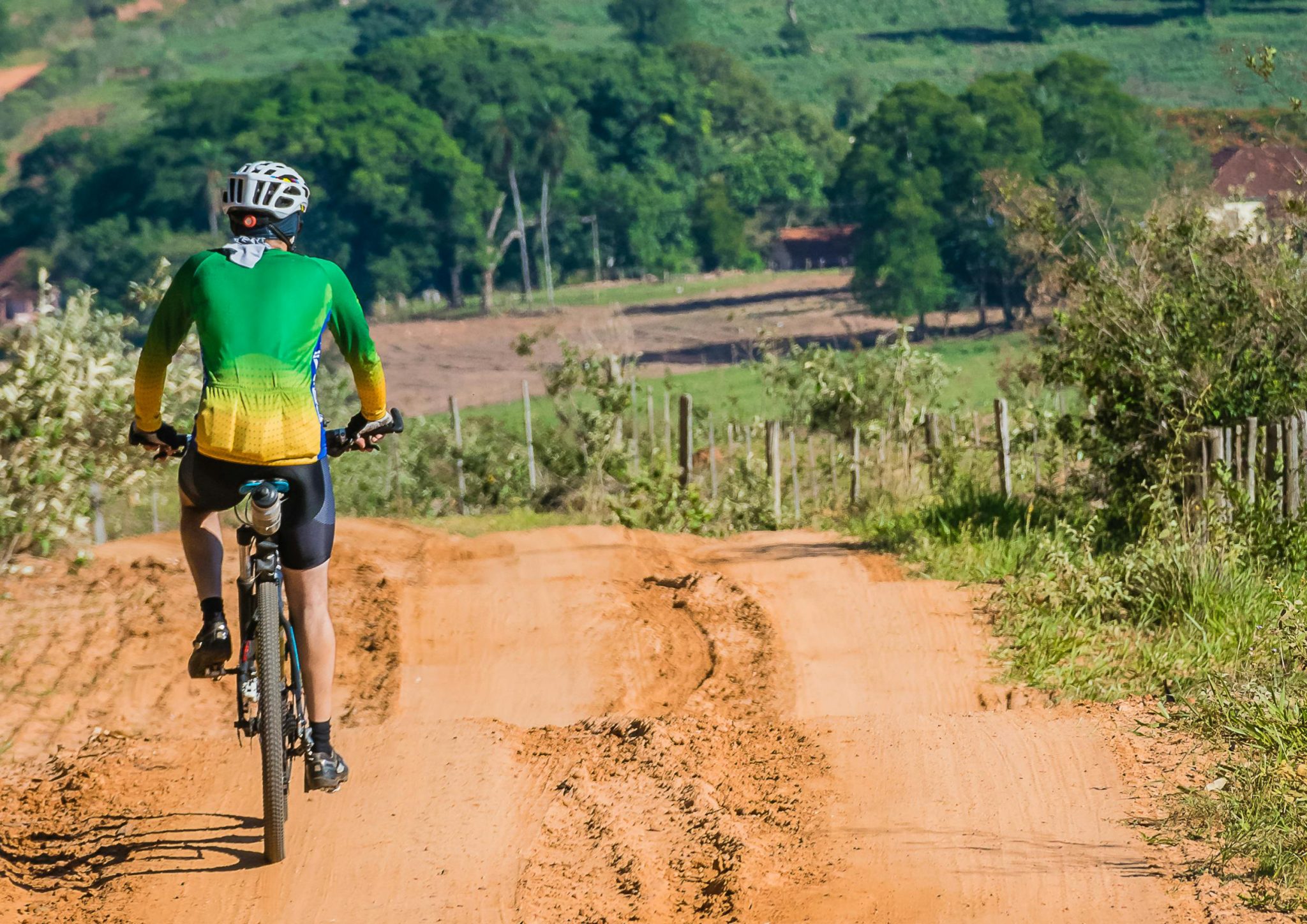 17 February 2026 Media Release: Garden Route Trails Remain Open ...